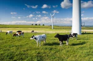 Alliant Energy, Invenergy Announce 210 MW Iowa Wind Farm - North ...