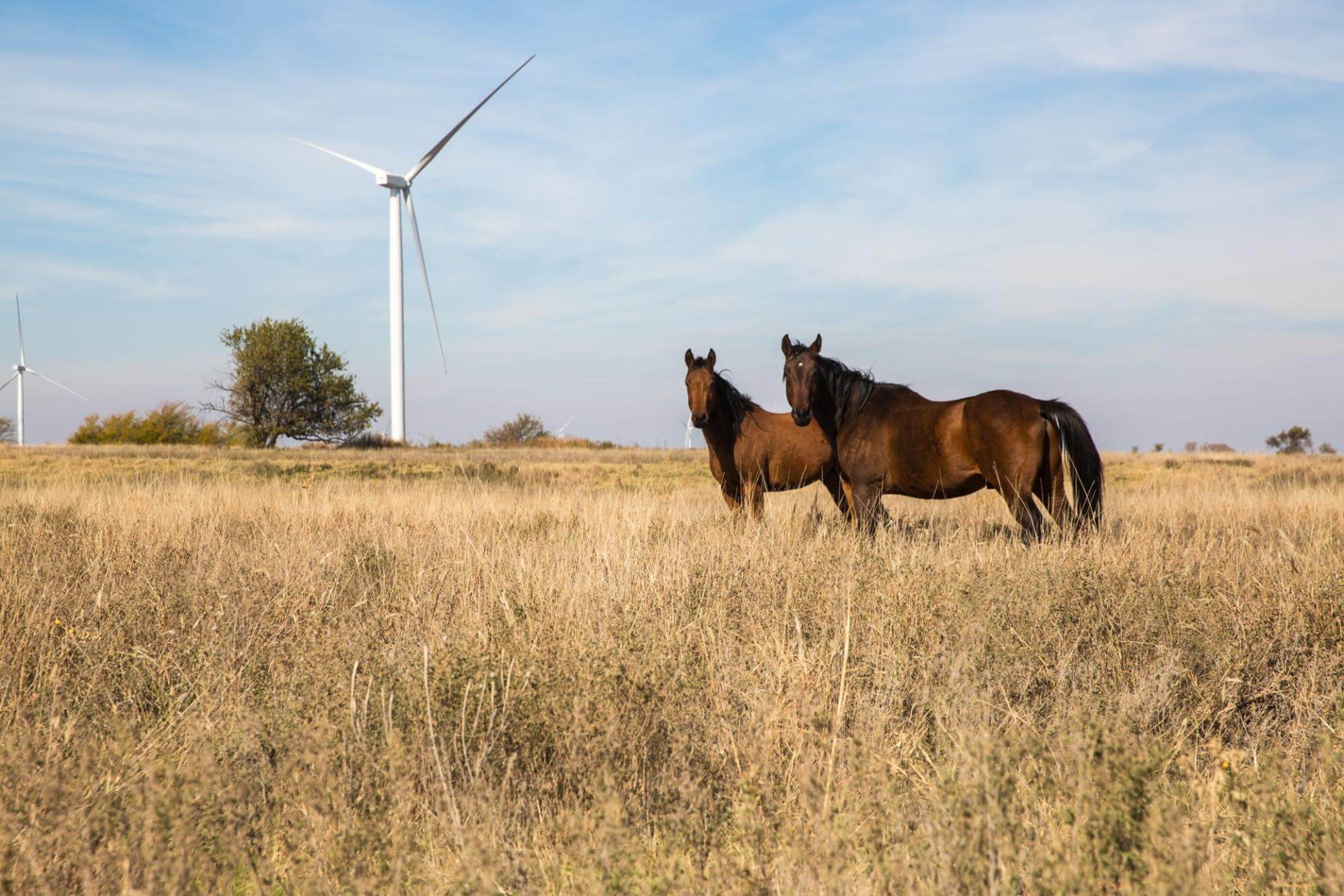 EGPNA Becomes Oklahoma's Biggest Wind Player - North American Windpower