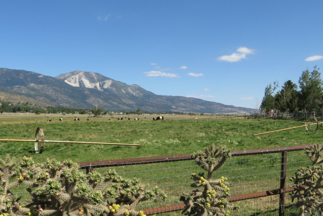 Greelink Nevada Renewable Energy Initiative Receives PUCN Approval ...